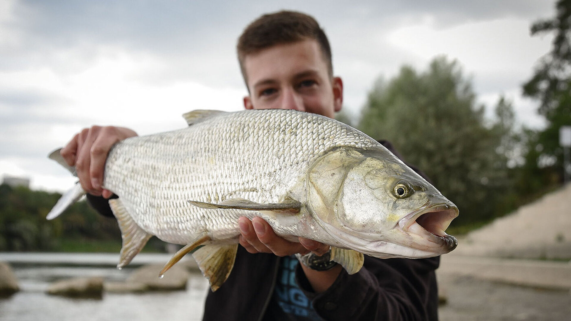 Der nicht so friedliche Friedfisch | petri-heil.ch | Dein Schweizer ...
