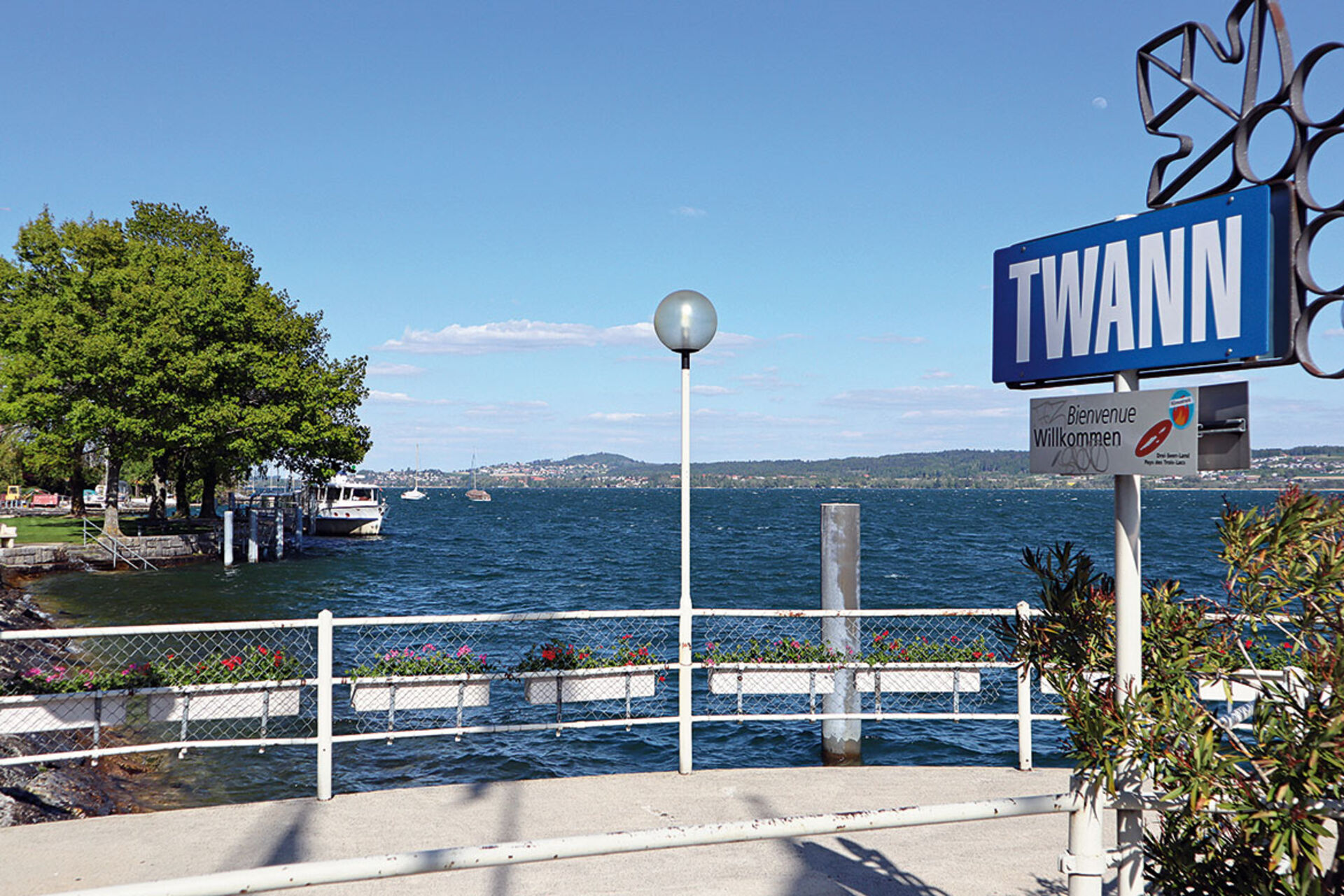 Bielersee Ufer-Spots – Die Top 8 | petri-heil.ch | Dein Schweizer ...