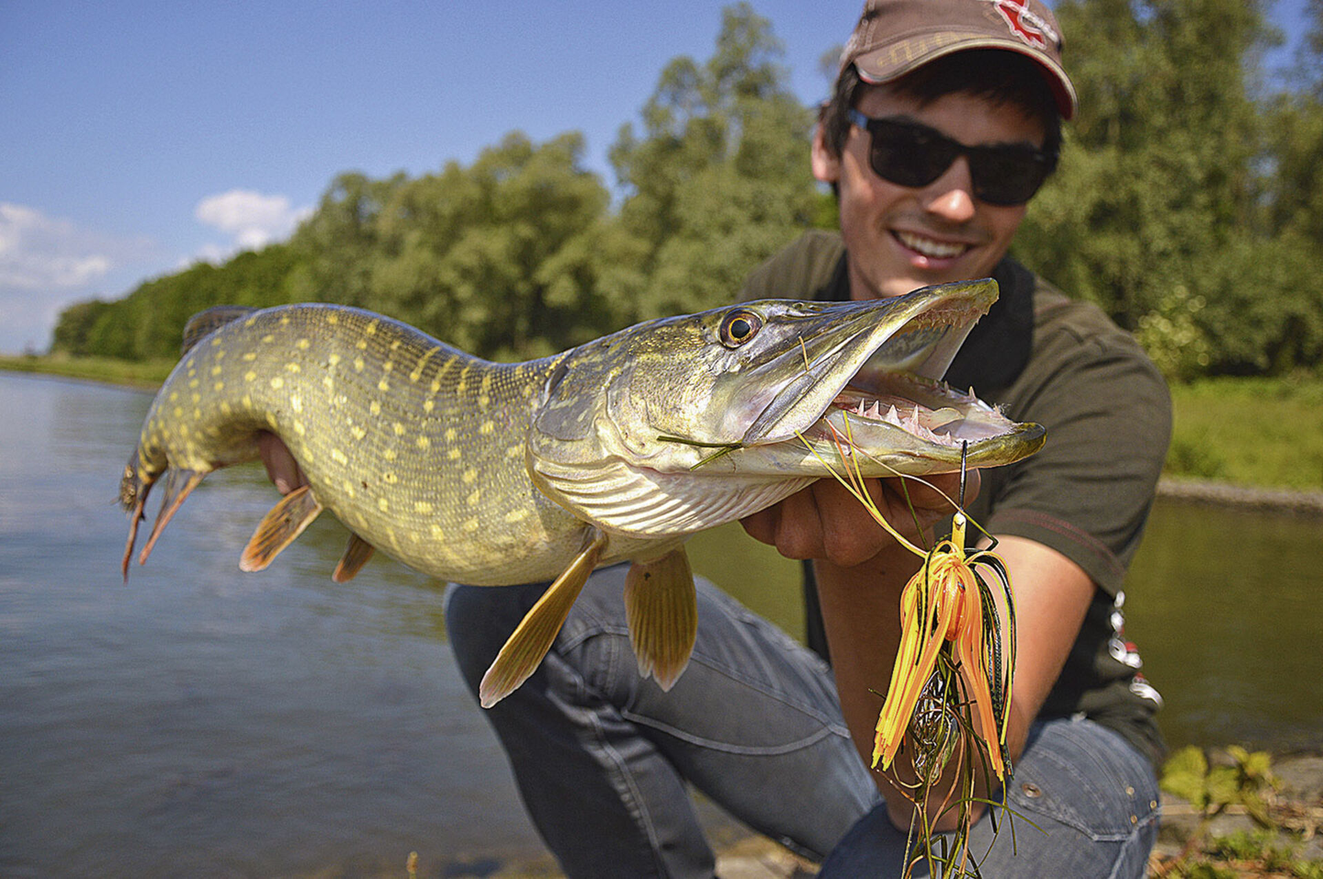 Hechte im Kraut – Fluch oder Segen? | petri-heil.ch | Dein Schweizer ...