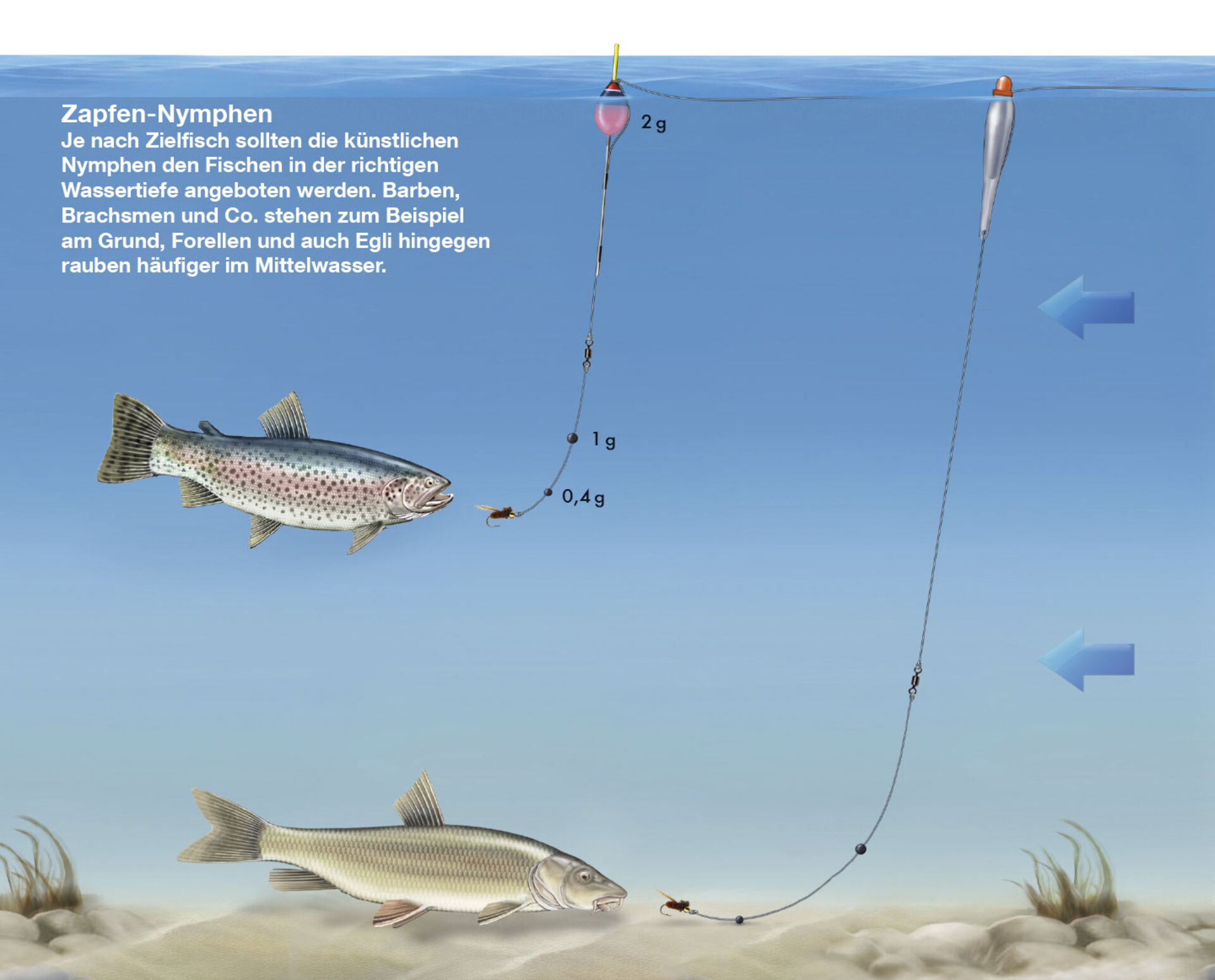 Nymphen für alle! | petri-heil.ch | Dein Schweizer Fischereimagazin