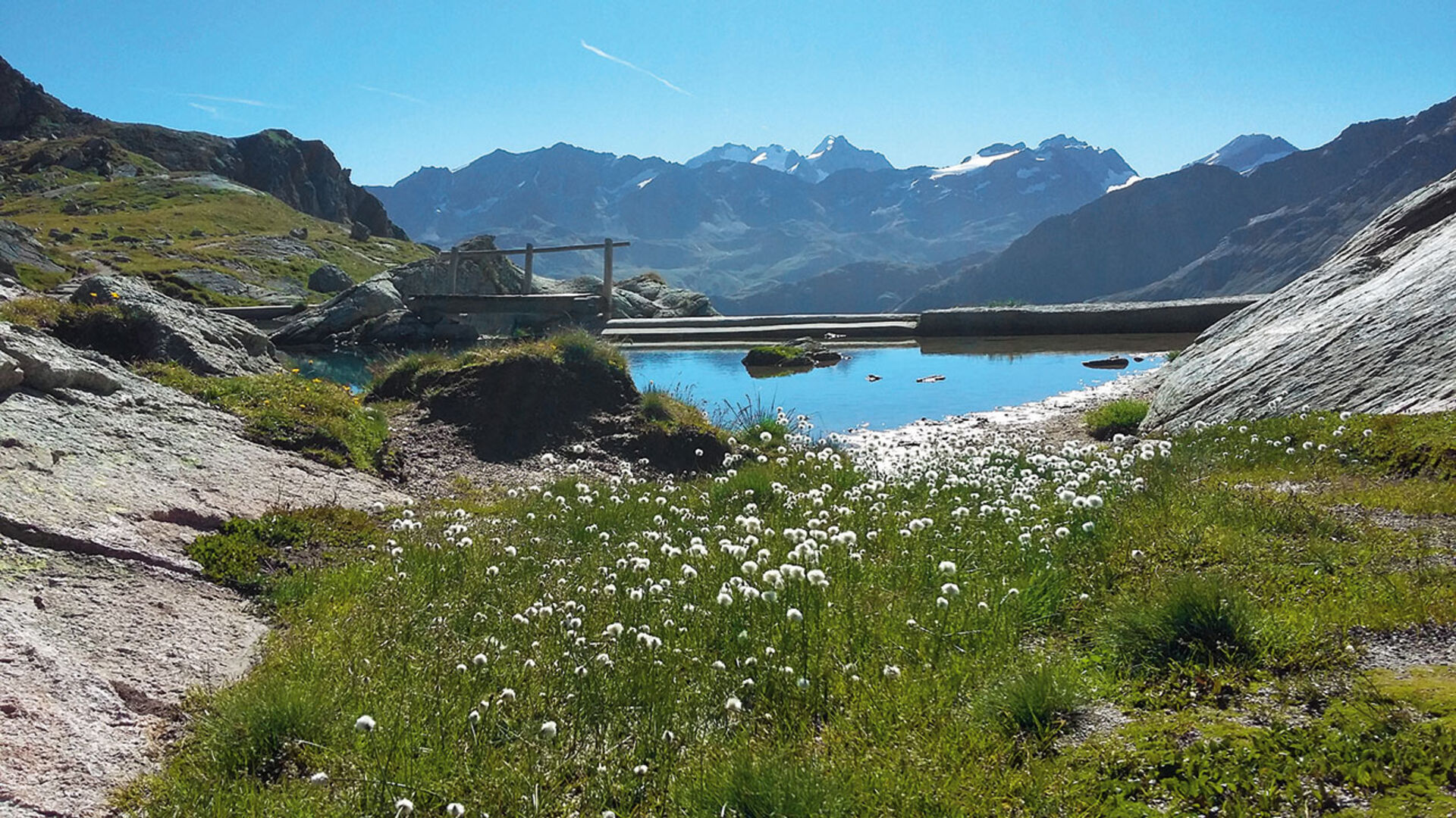 Der Inn – Ein Fluss mit vielen Gesichtern | petri-heil.ch | Dein ...