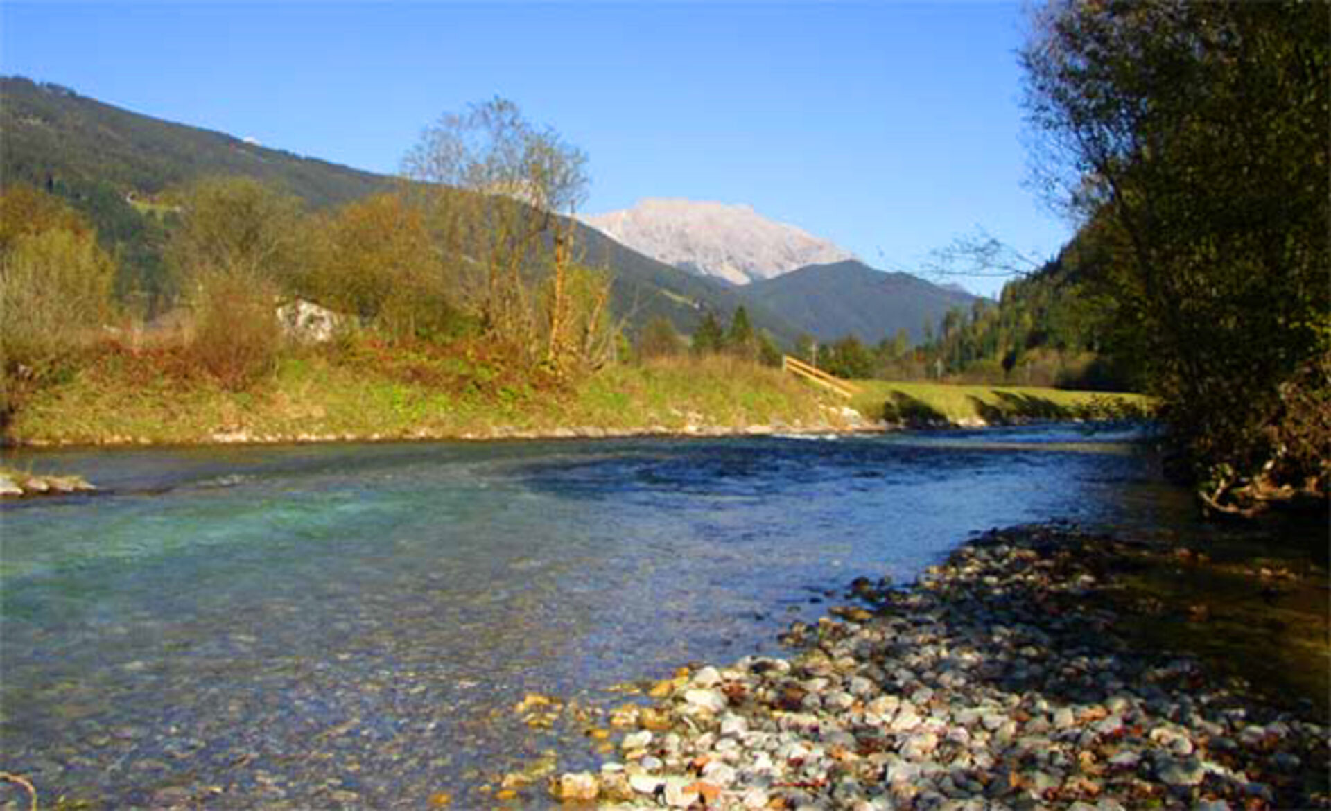 petri-heil.ch | Fischerinfos