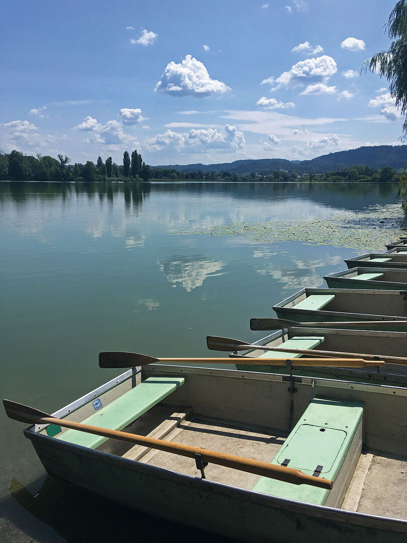 Moossee – Zentrum der Fische(rei) | petri-heil.ch | Dein Schweizer ...